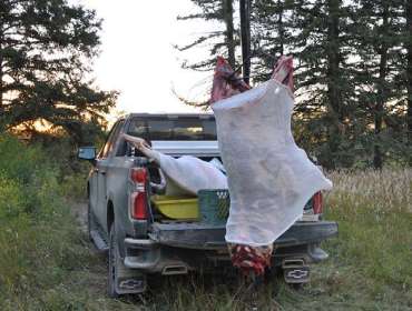 Field Dressing - North American Deer Hunter