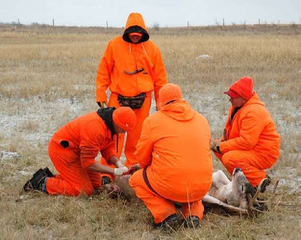 Field Dressing - North American Deer Hunter