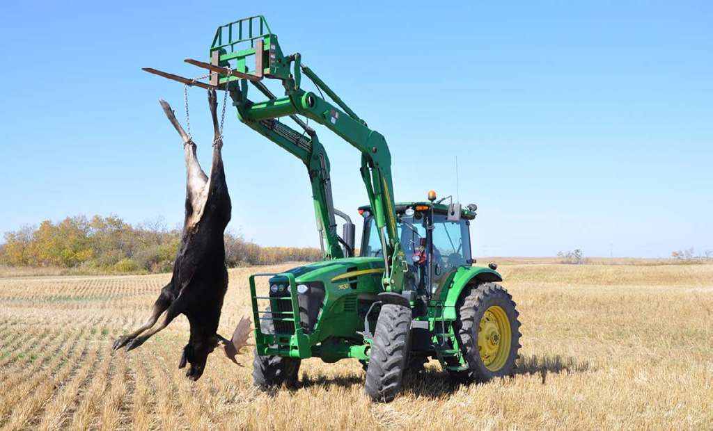Field Dressing - North American Deer Hunter