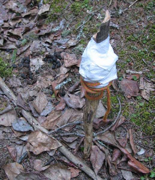 Bow Hunting Blood Trails - North American Deer Hunter