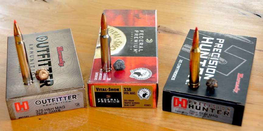 Understanding and Selecting the Best Deer Bullet - North American Deer ...