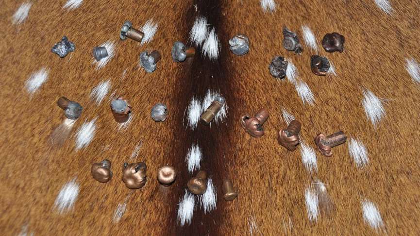 Understanding and Selecting the Best Deer Bullet - North American Deer ...