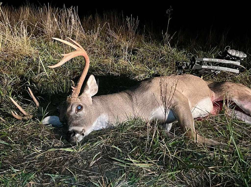 Find the Dominant Buck in October Bachelor Groups - North American Deer ...