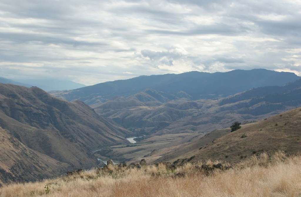 How-To’s For Hot-Weather Deer Hunting - North American Deer Hunter