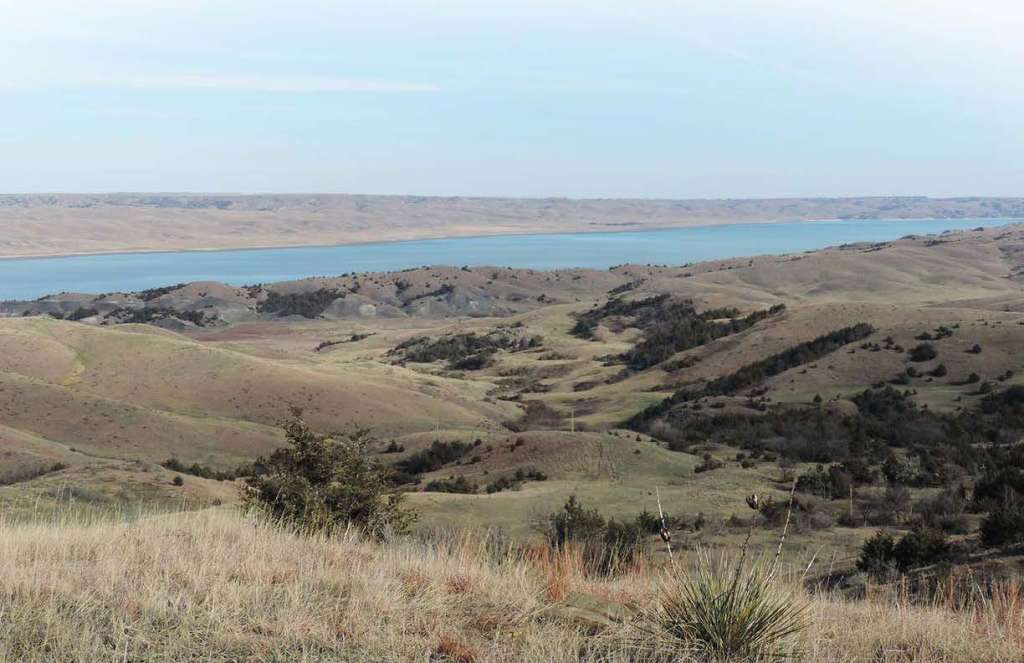 Aggressive Archery Tactics for Rutting Mule Deer - North American Deer ...