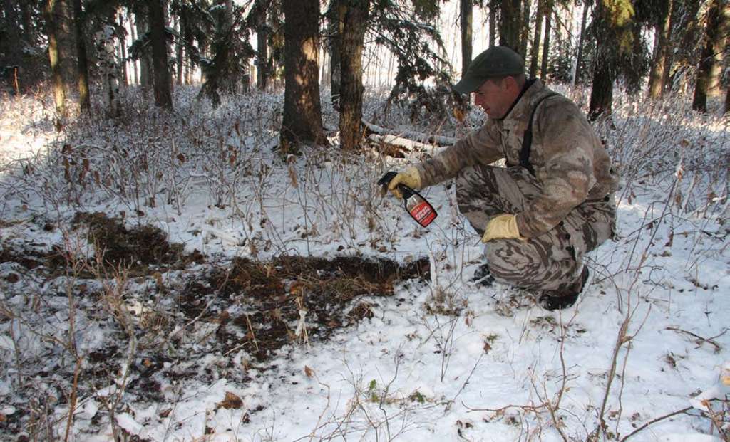 Deer Scrape vs Rub: How to Use Each to Your Advantage