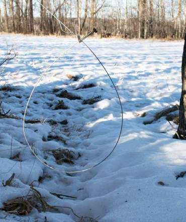Snaring 101 - North American Deer Hunter