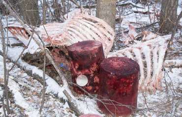 Snaring 101 - North American Deer Hunter