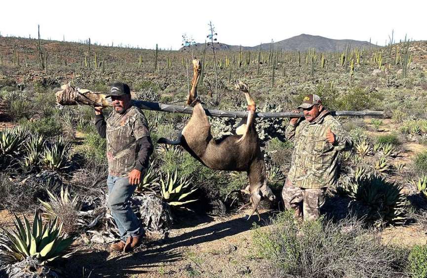 A Baja Adventure: When a Hunting Trip Becomes a Camping Trip - North ...