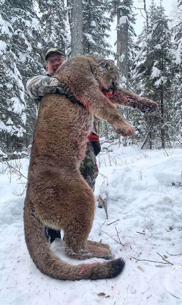 Cougar Hunt Know-How - North American Deer Hunter