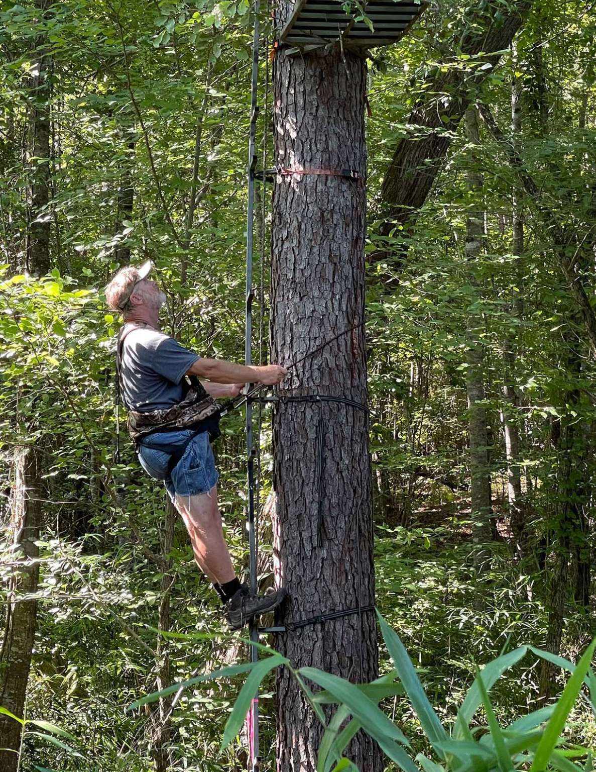 Treestand Safety: Tips to Know - North American Deer Hunter