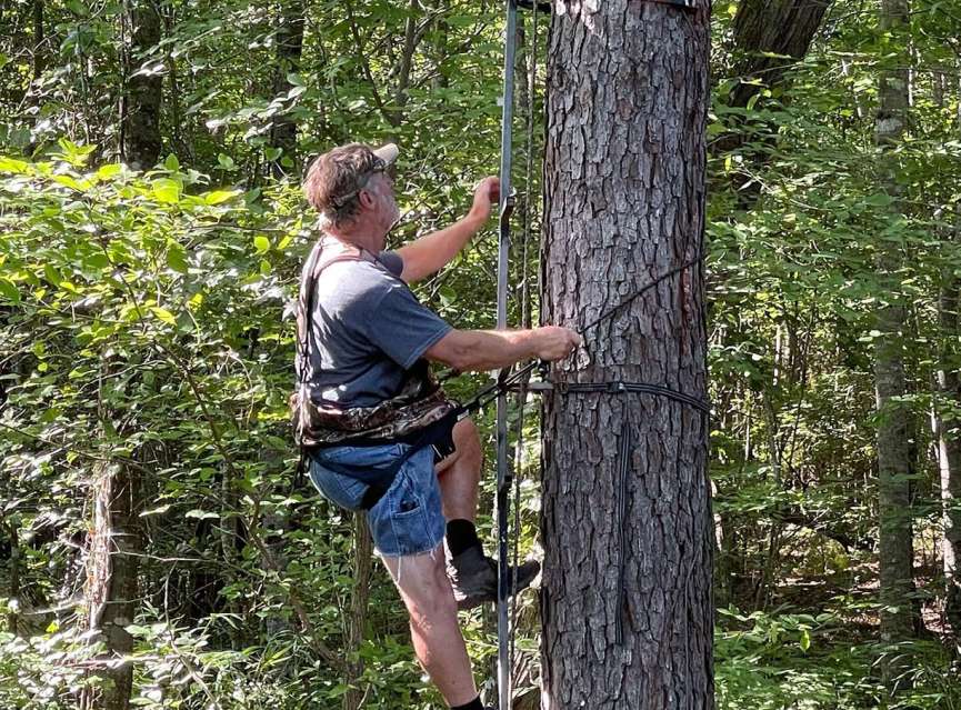 Treestand Safety: Tips to Know - North American Deer Hunter