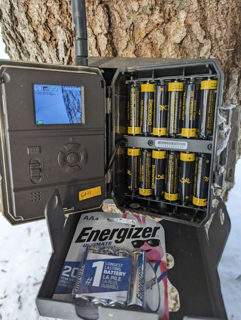 How to Choose the Correct Trail Camera - North American Deer Hunter