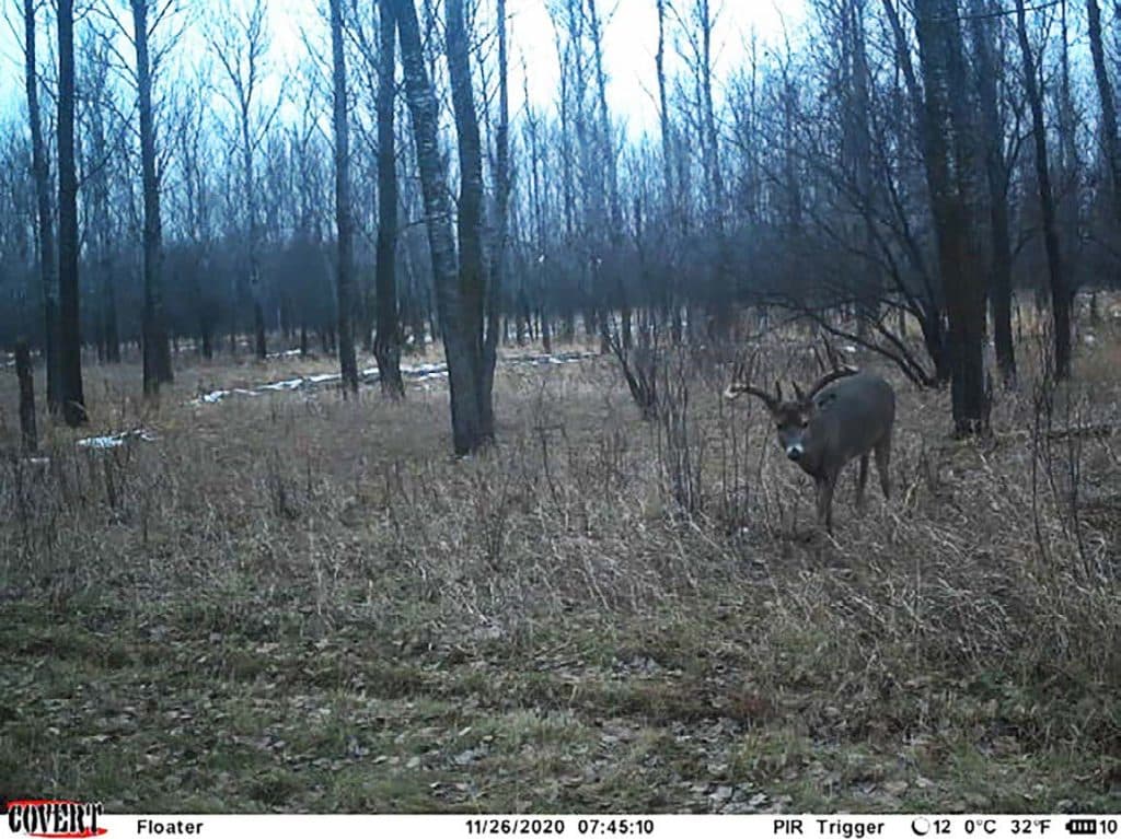 Hunting for a 195-Inch Ghost - North American Deer Hunter