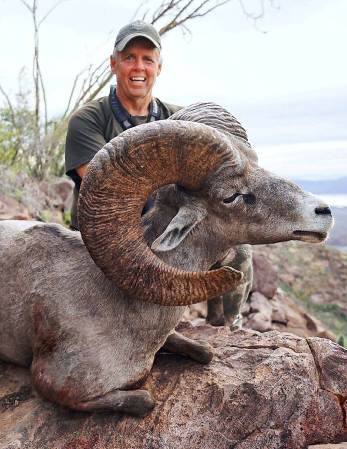 So, You Want to Hunt Sheep? - North American Deer Hunter