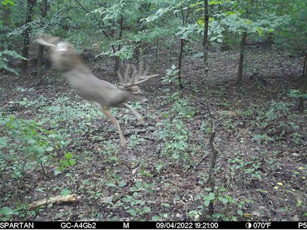 15 Monster Bucks to Pump You Up for Deer Season - North American Deer ...