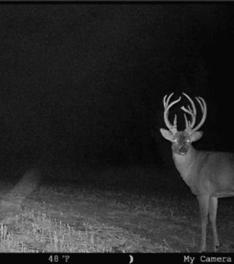 Bowhunter Stalks Huge Non-Typical Deer - North American Deer Hunter