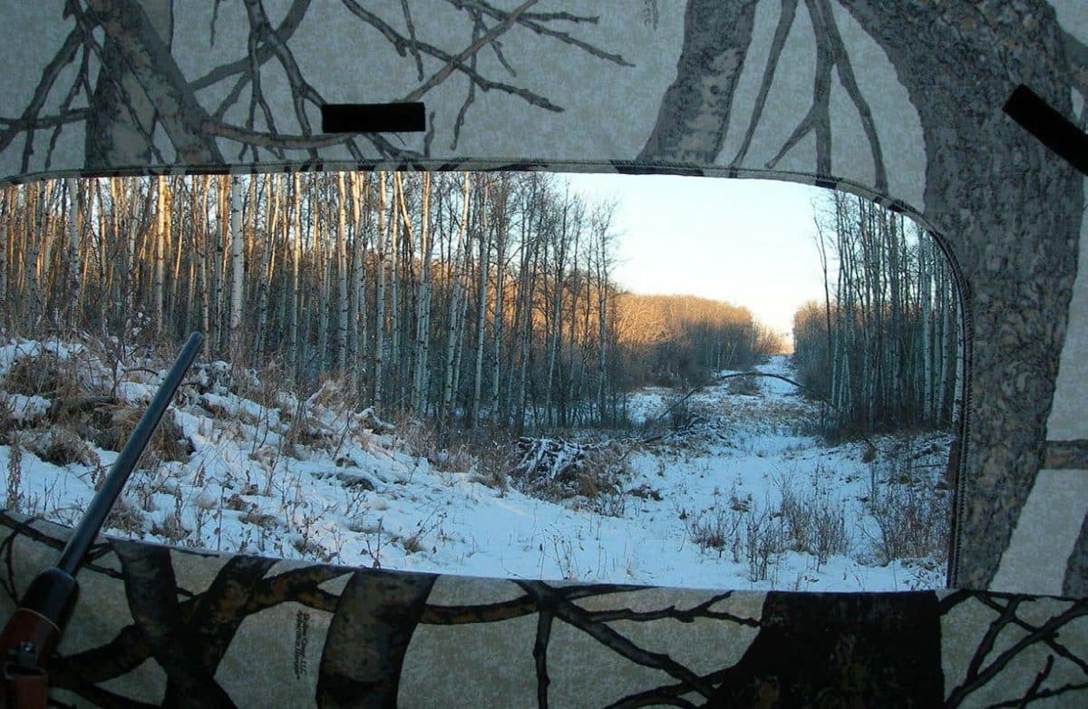 Blind Magic - North American Deer Hunter