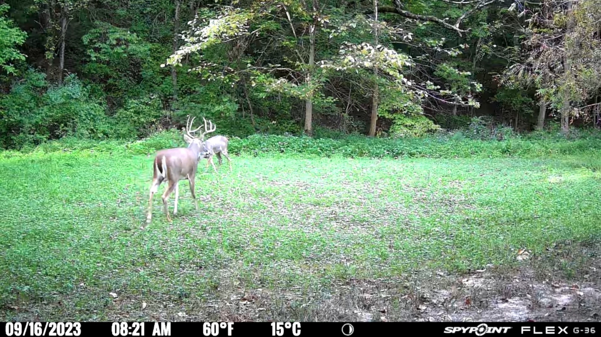 S1.E3 | Mid-September Food Sources & Cold Fronts - North American Deer ...