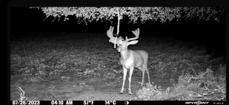 Spypoint Trail Cameras – Review - North American Deer Hunter