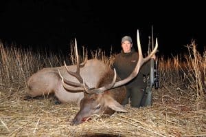 Ultimate Guide to 7mm Calibers - North American Deer Hunter