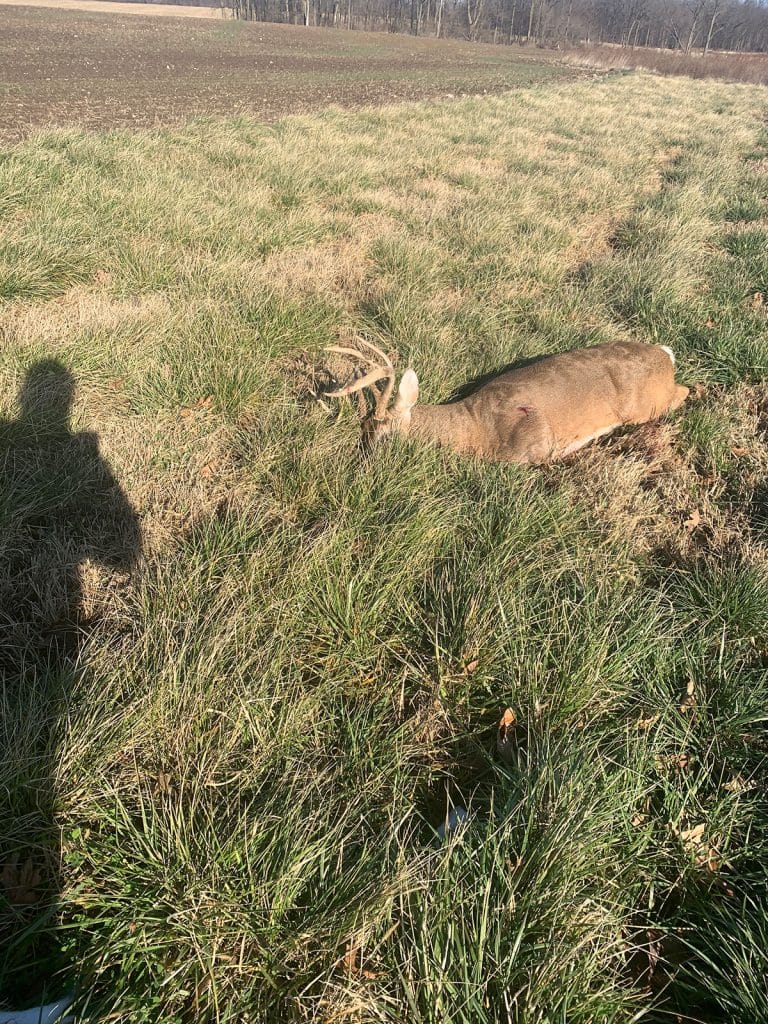 Modern Day Deer Recovery - North American Deer Hunter