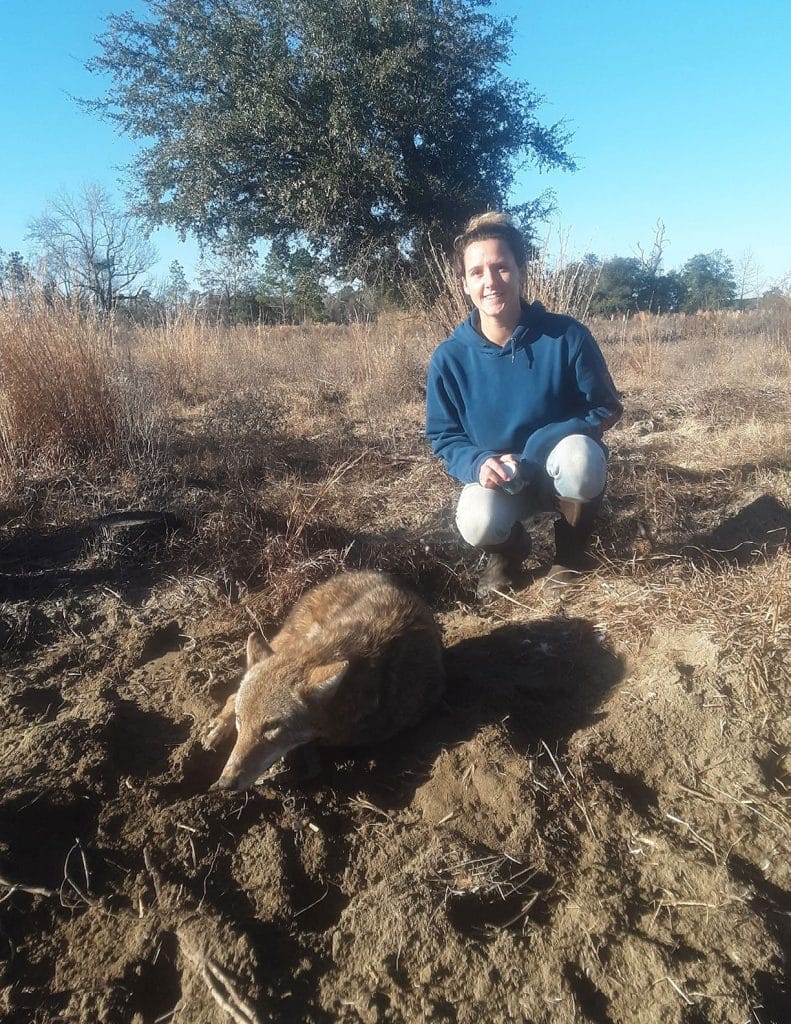 Predator Trapping: Deer Management’s Best Defense - North American Deer ...