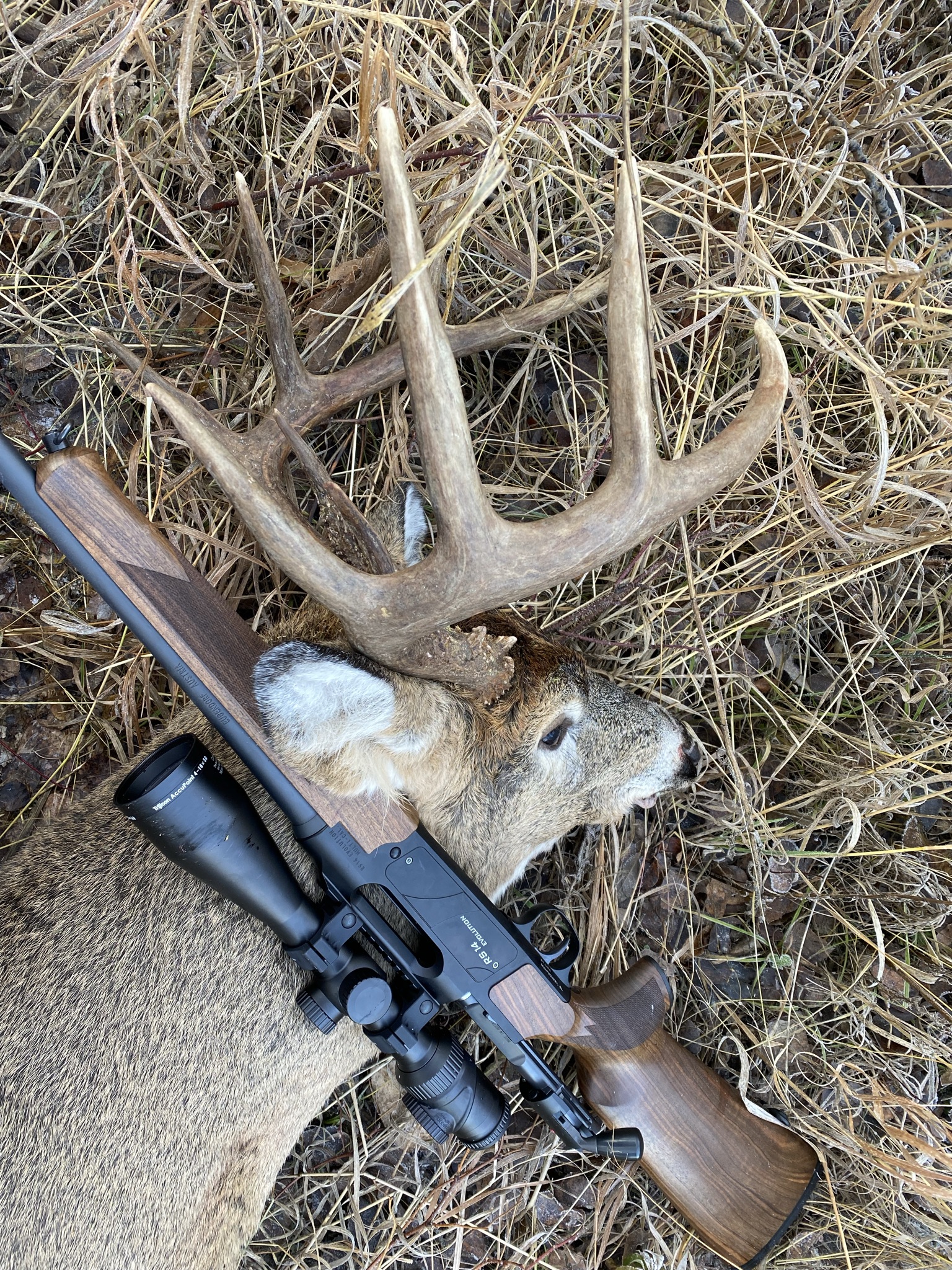 HMS Strasser RS 14 Evolution – A Perfect Rifle for Cold-Weather Hunting ...