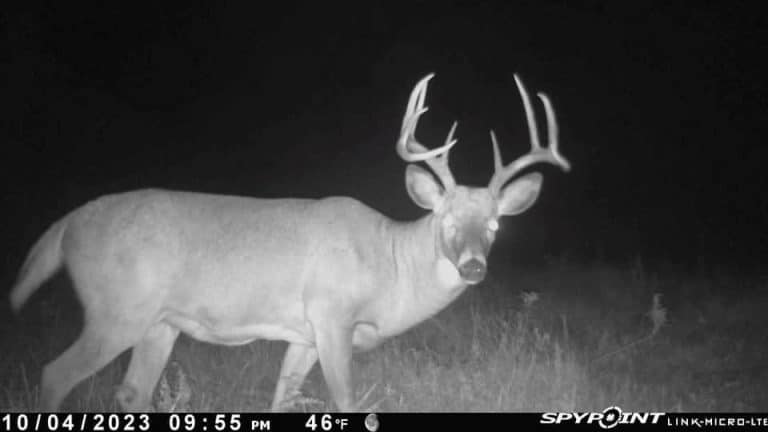 2025 Rut Report - North American Deer Hunter