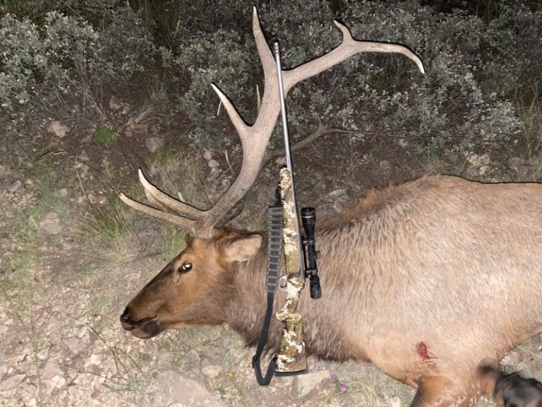 11 Best Calibers for Elk Hunting in 2025