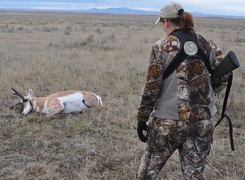 Pronghorn Antelope: A Unique Hunting Experience in Alberta - North ...