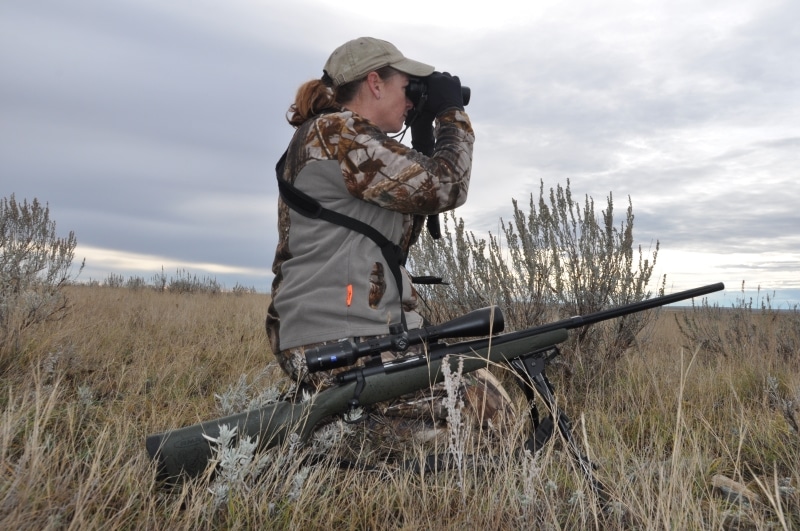 Pronghorn Antelope: A Unique Hunting Experience in Alberta - North ...