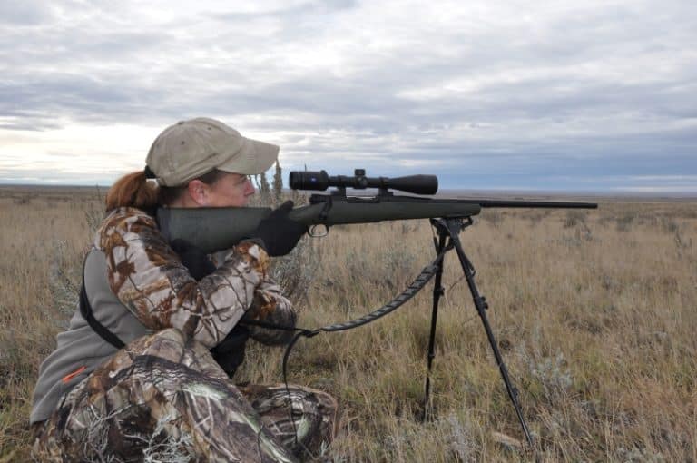 Pronghorn Antelope: A Unique Hunting Experience in Alberta - North ...