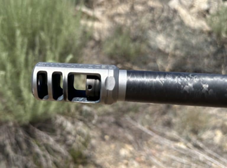 11 Best Calibers for Elk Hunting in 2025