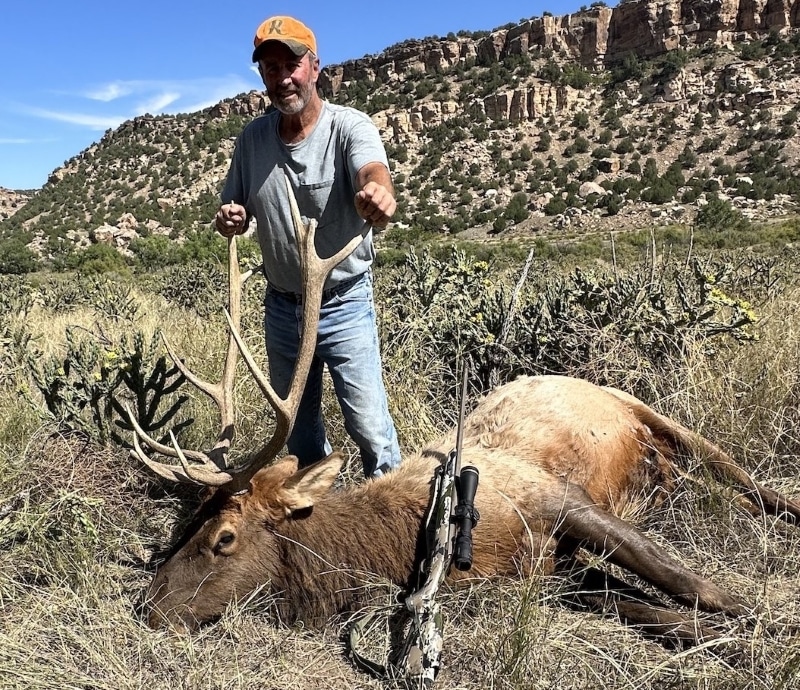 11 Best Calibers for Elk Hunting in 2025
