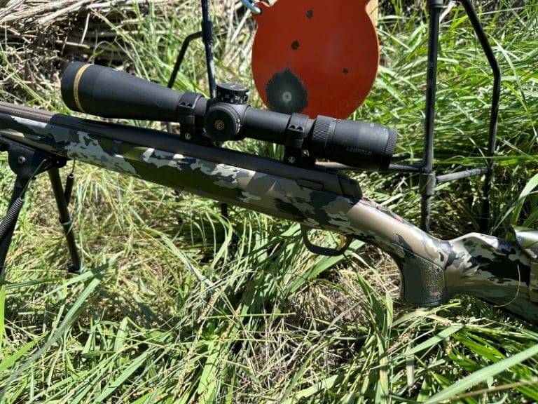 11 Best Calibers for Elk Hunting in 2025