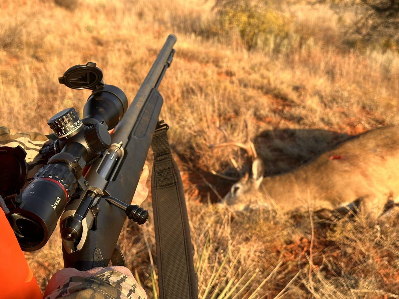 Traditions Muzzleloader Review – The New NitroBolt Changes ...