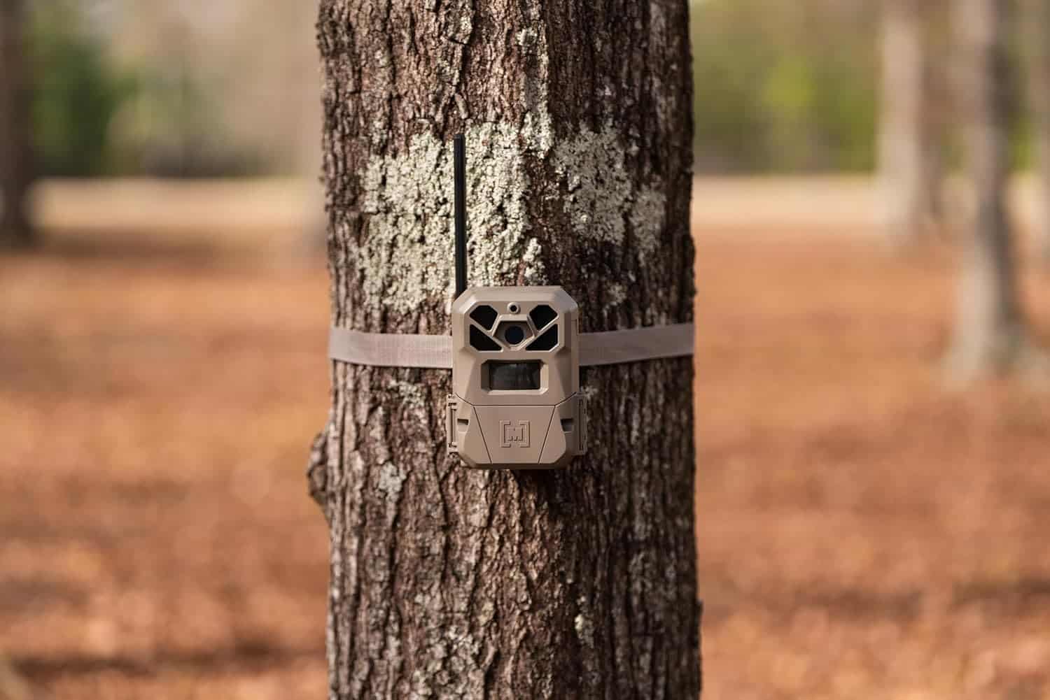 Moultrie Edge 2 Pro Review for 2026